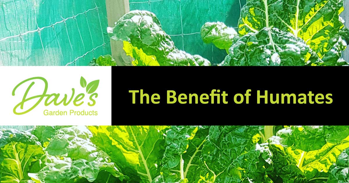 The Benefit of Humates - Daves Garden Products